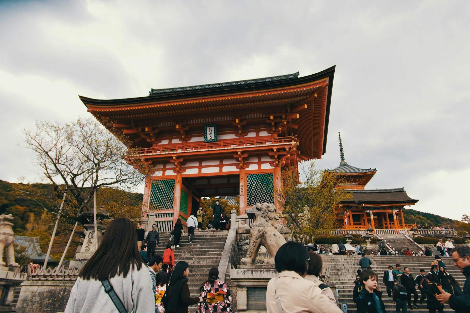 What I wish I’d known before visiting Japan