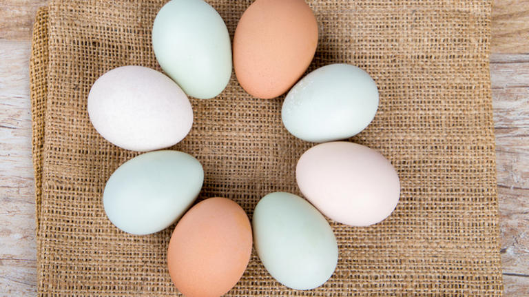 What To Know About The Blue Eggs You're Seeing Pop Up In Grocery Stores
