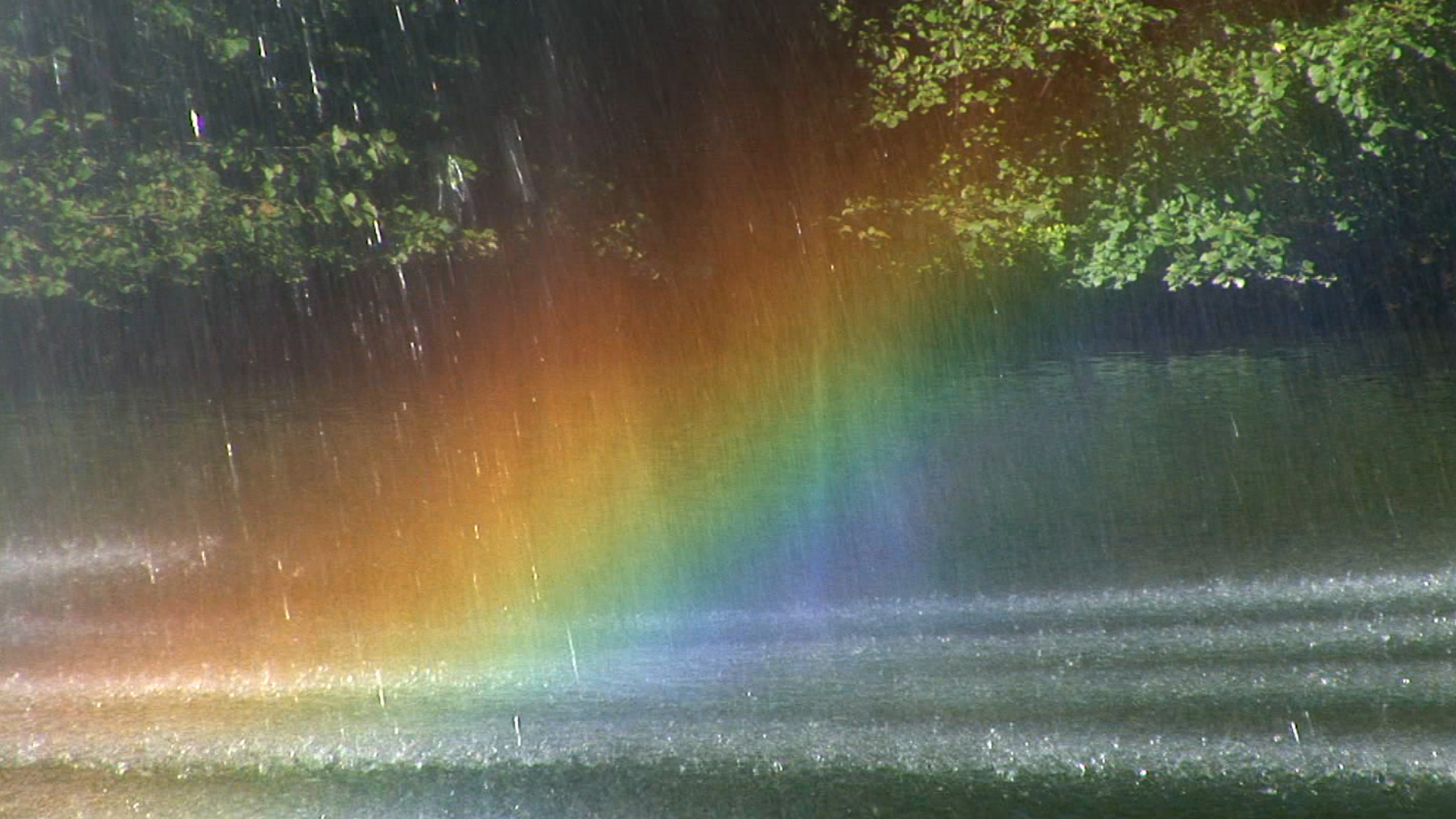 Can Spending Time In Nature Reduce Back Pain?