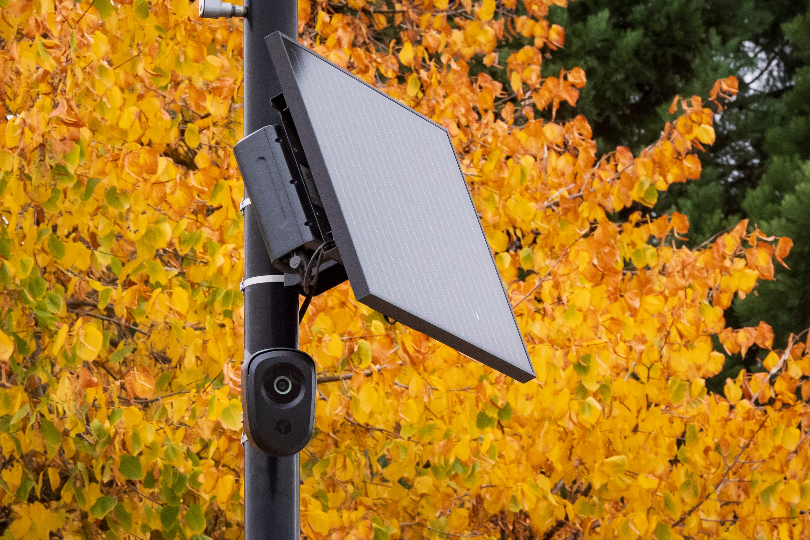 Woodburn pauses use of Flock cameras citing concerns around ICE