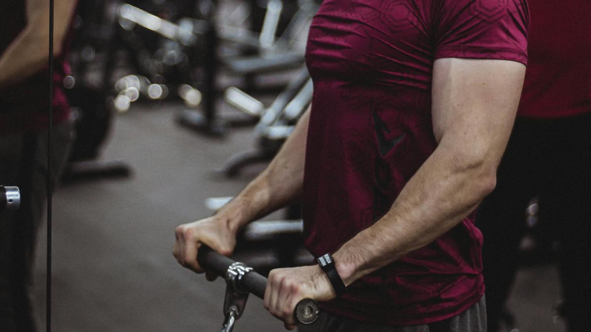 El movimiento ideal para definir bíceps, según la inteligencia artificial