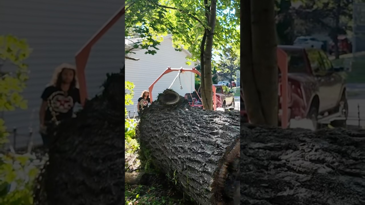 I found the coolest walnut wood!