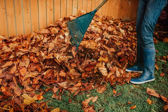 Do You Really Need to Rake Your Leaves? We Asked a Lawn-Care Expert ...