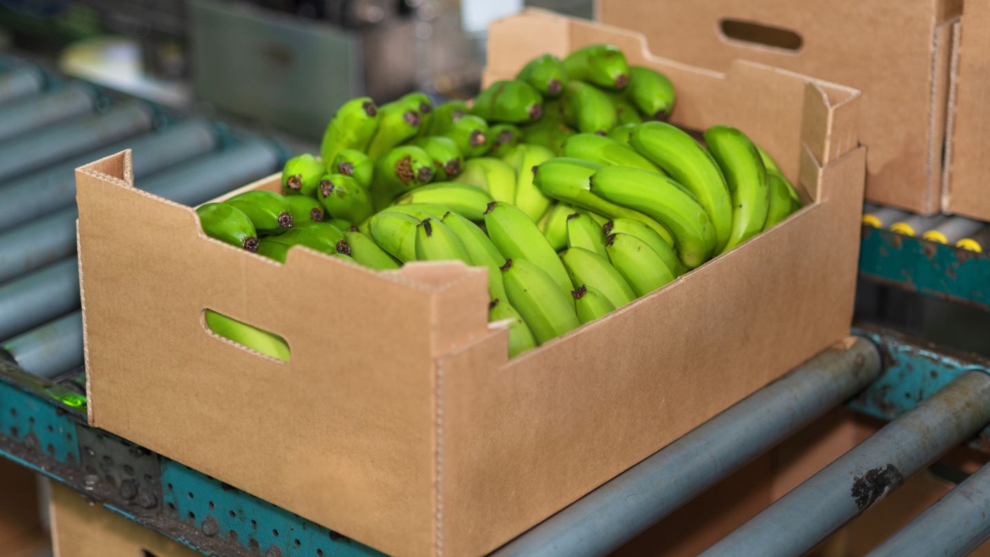 Mondi unveils lightweight banana box made with 40% recycled fibre
