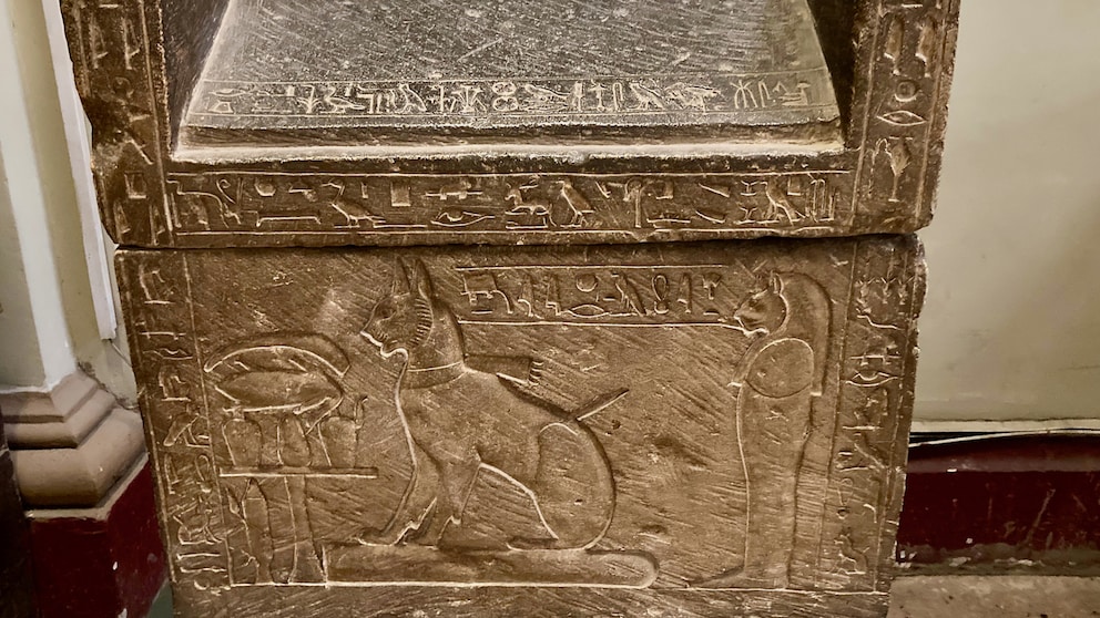 How Cats Were Revered in Ancient Egypt