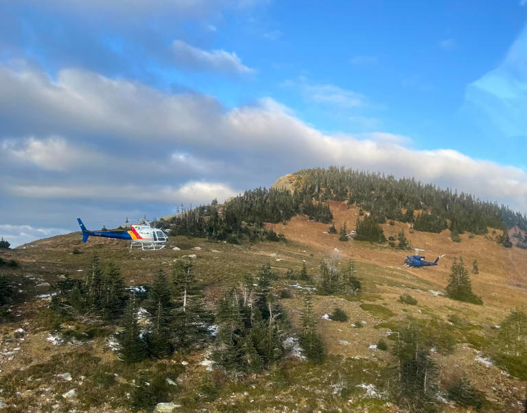 Grizzly bear attack leaves 2 hikers hospitalized in Canada, 1 critical