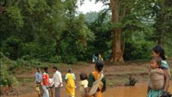 Jharkhand cabinet approves proposal to notify part of Saranda forest as ...