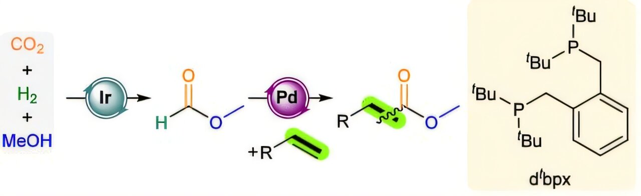 CO₂ as a raw material: Catalyst system makes climate gas usable for the ...