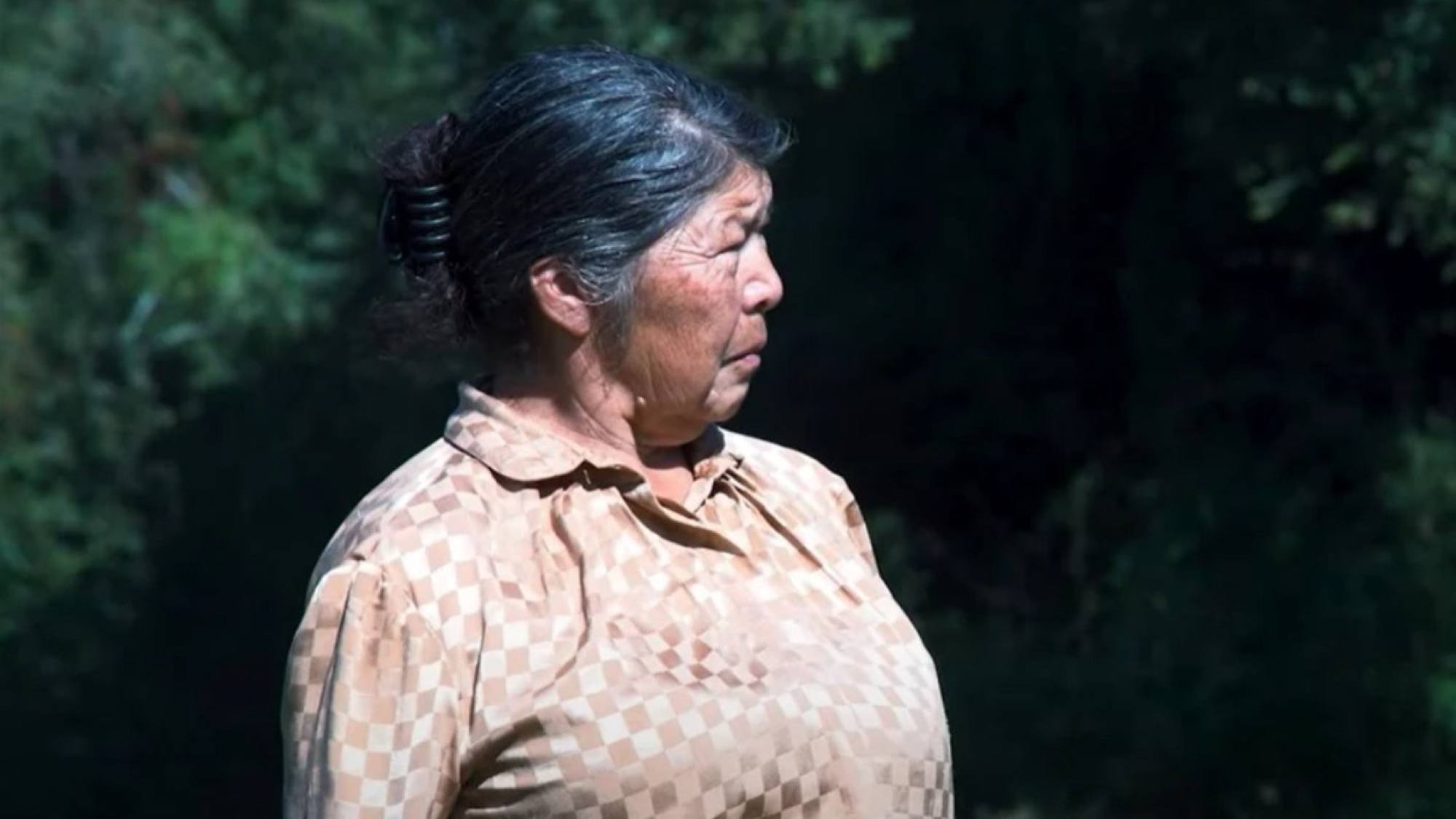 Caso Julia Chuñil: Reportan hallazgo de machete en zona de búsqueda