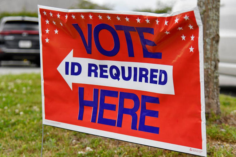 Early voting opens in Middle Georgia for local, PSC races. See who's ...