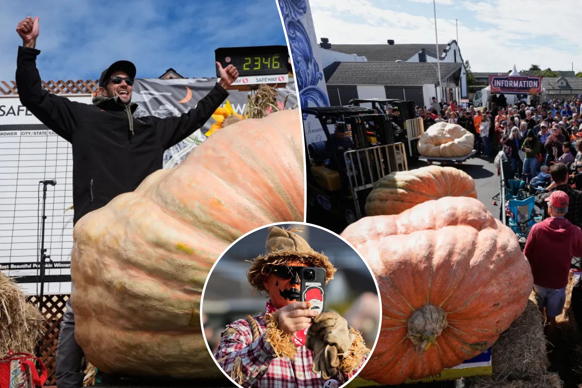 California gardening enthusiast wins biggest pumpkin contest: Here’s ...
