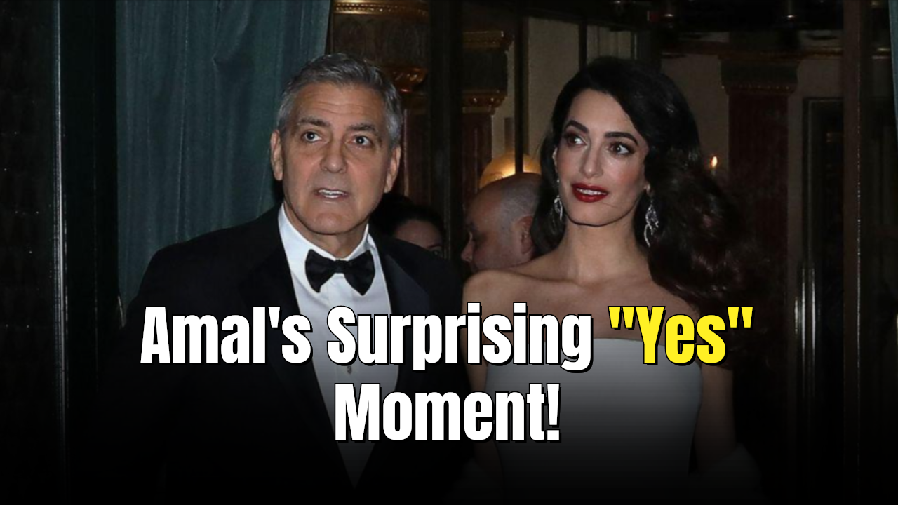 From Bachelor to Family Man: The Stunning Love Story of George and Amal ...