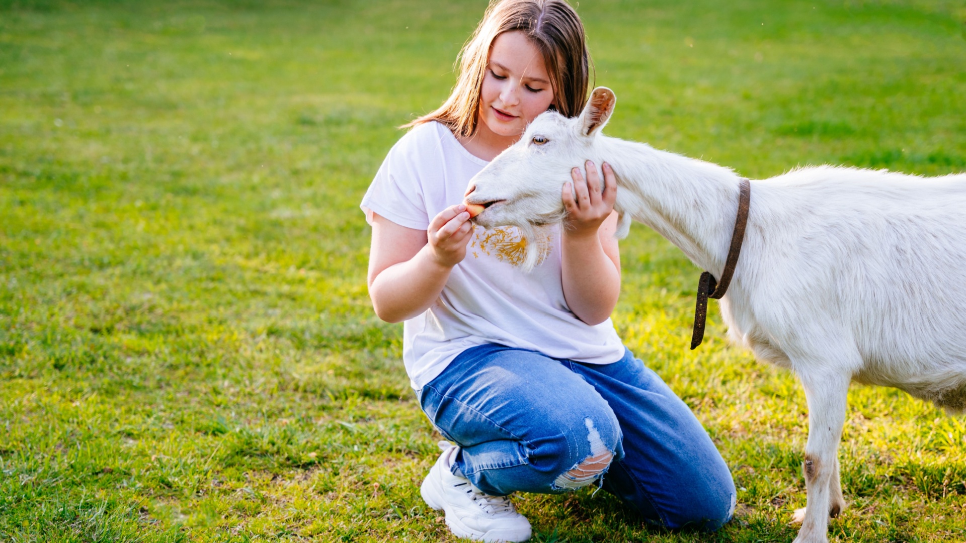 11 Animals That Form Deep Bonds With Their Humans