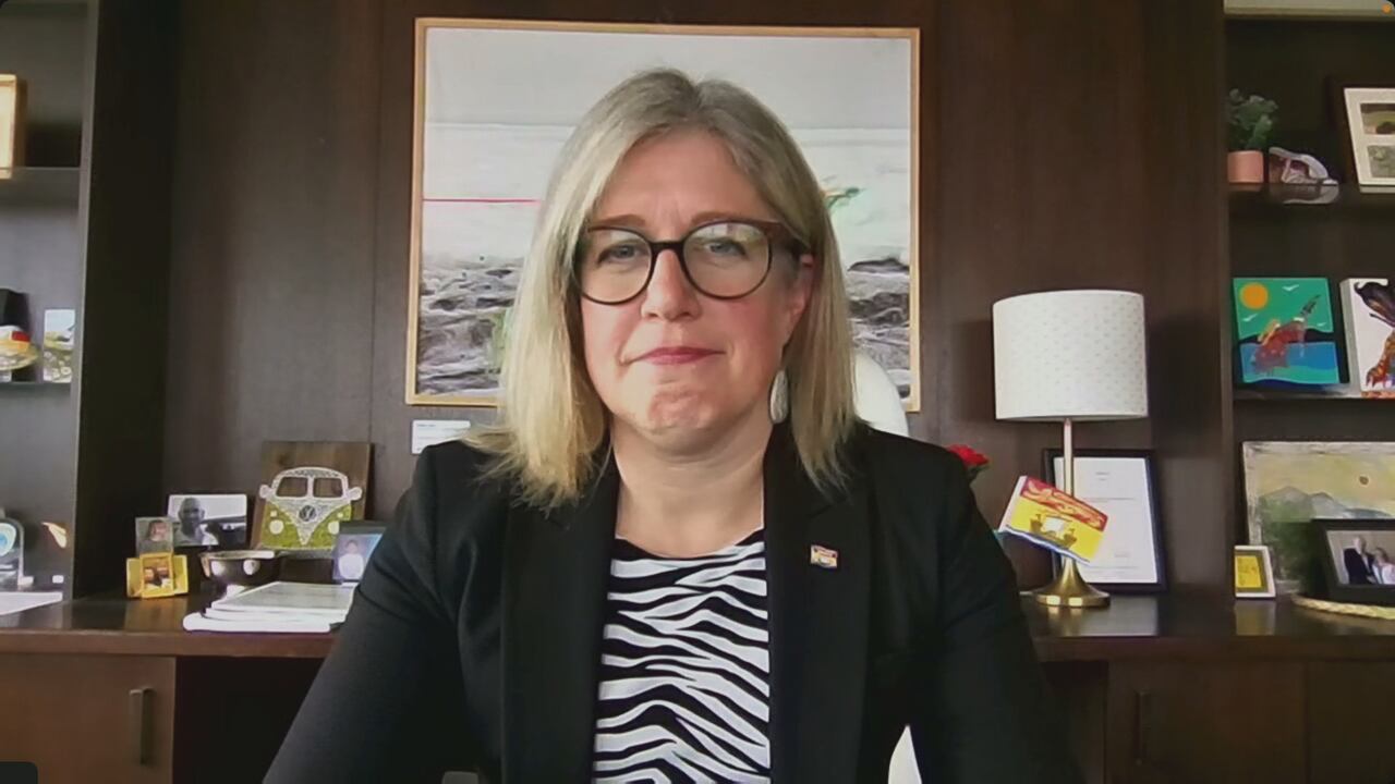 Higher U.S. lumber tariffs pose 'real challenge' to economy: N.B ...