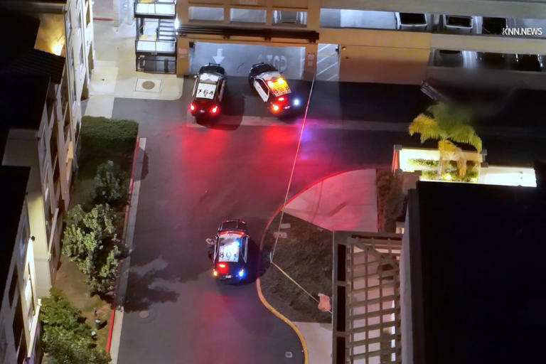 Mitt Romney’s brother tried to make sure estranged wife got nothing in ...