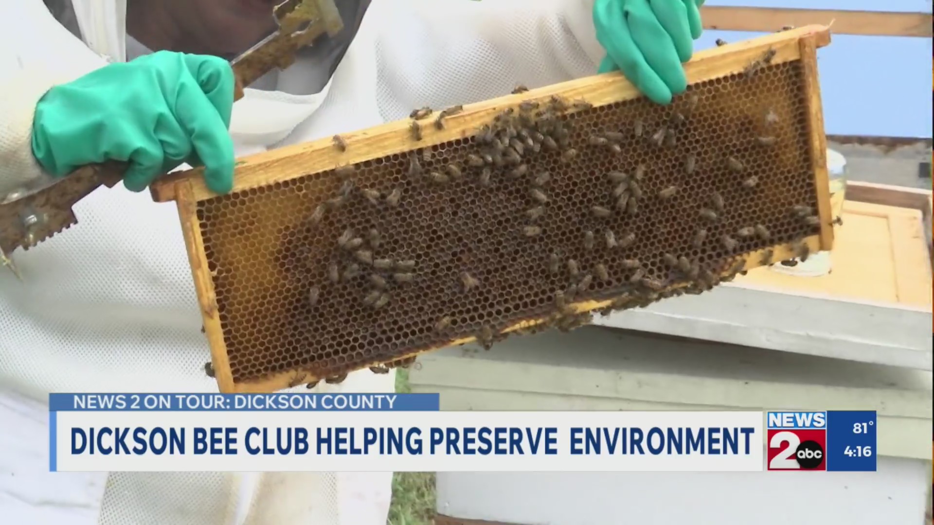 Dickson Bee Club helping preserve environment