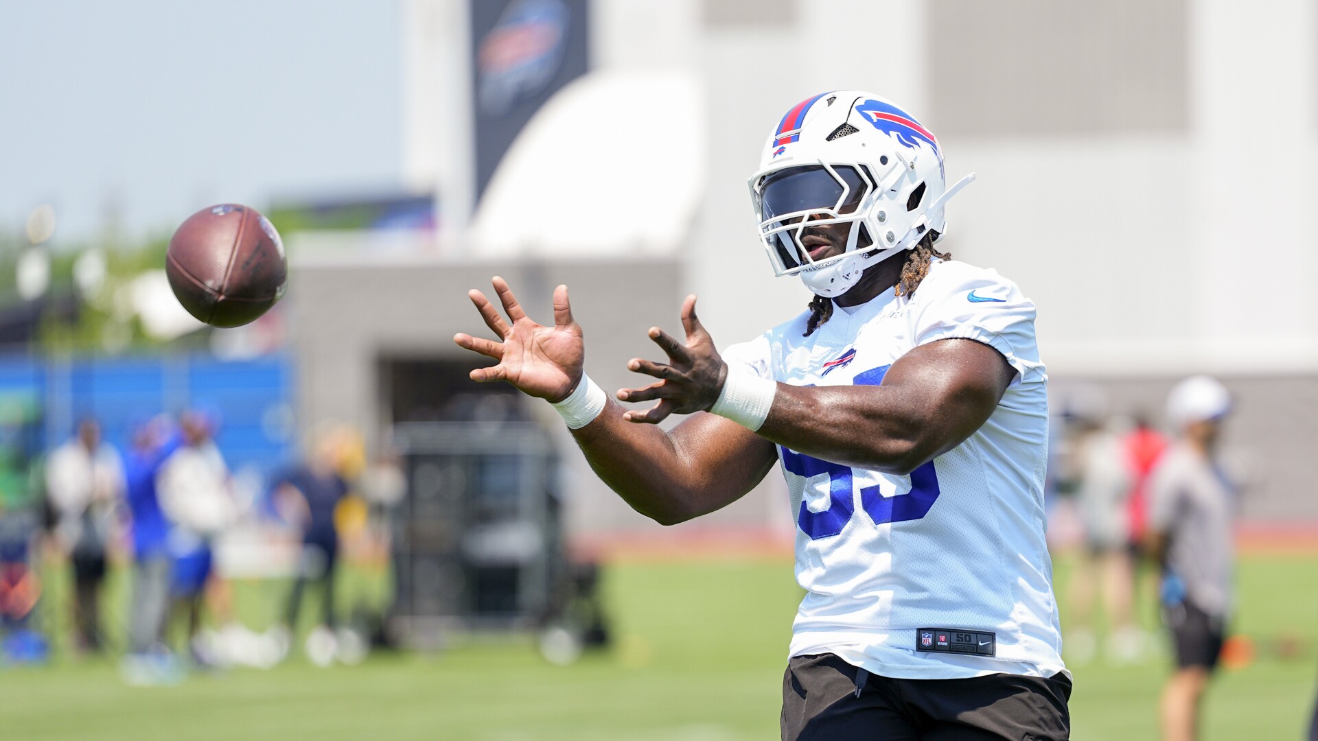 Bills DLs Larry Ogunjobi, Michael Hoecht can return from suspensions