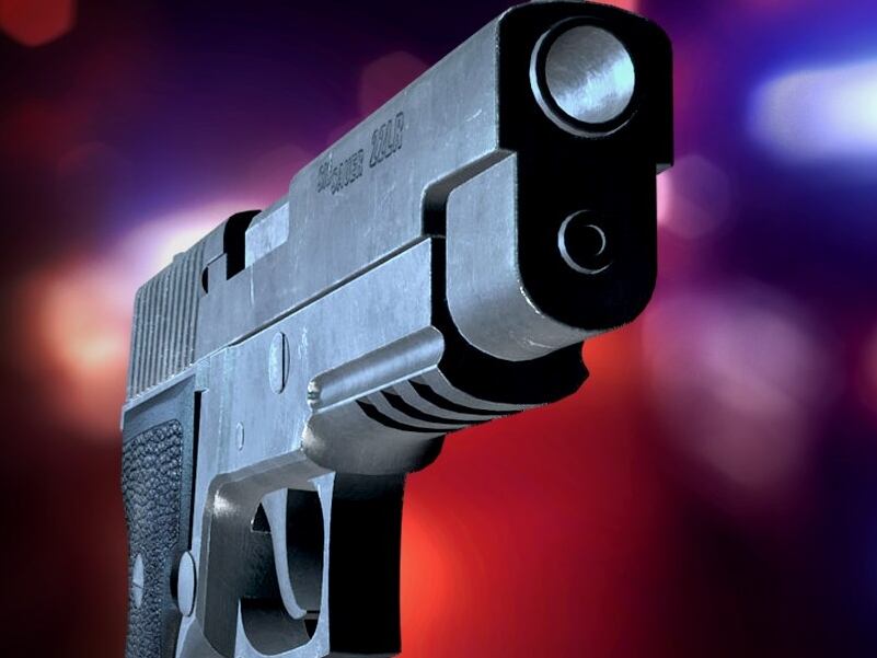 Hillsborough teen arrested after deputies say he carried gun to school