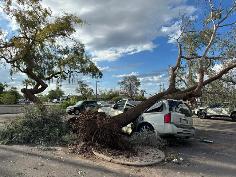 Microburst wreaks havoc, leaves trail of damage in Tempe as Arizona ...