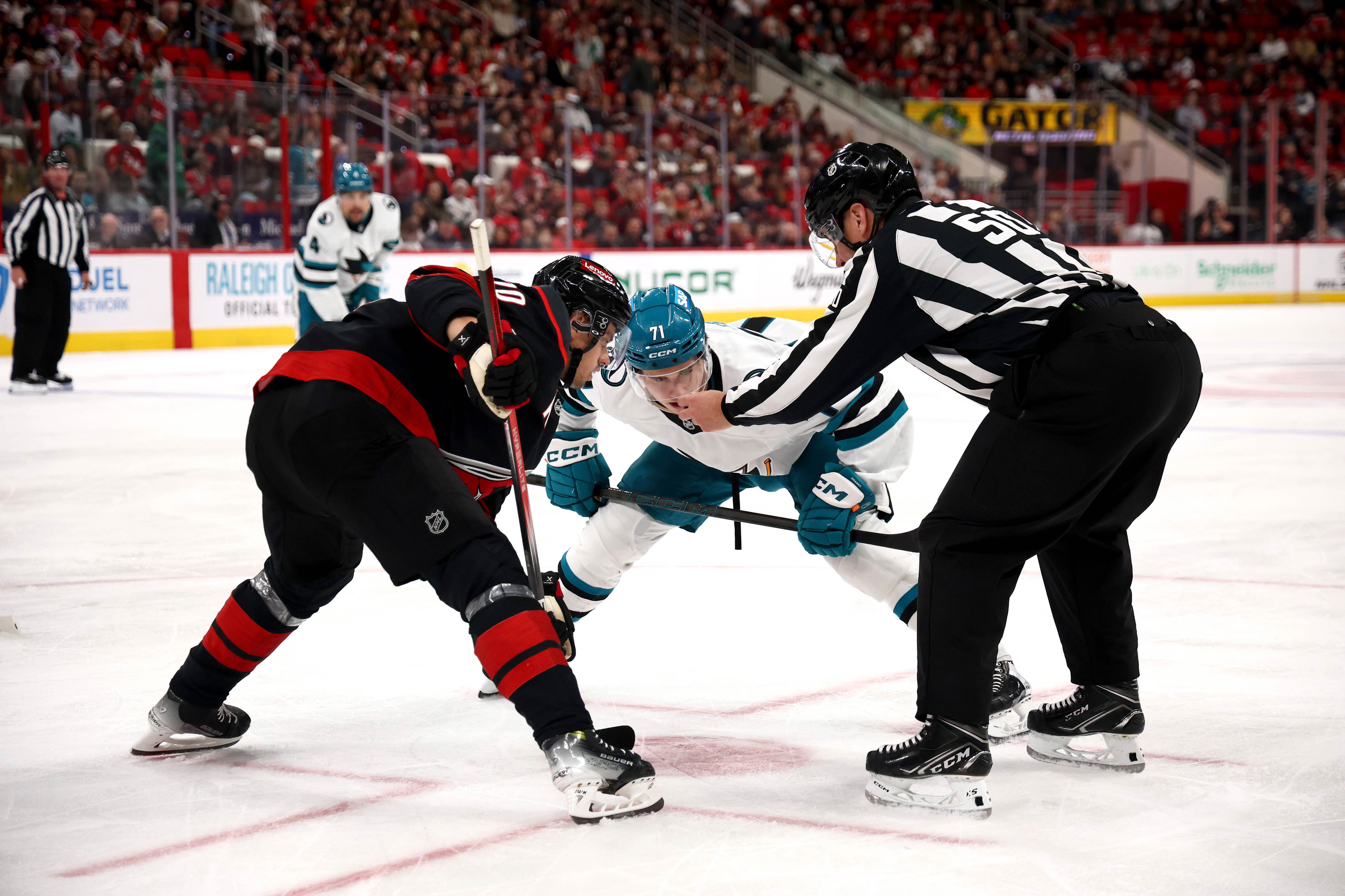How to Watch Hurricanes vs Sharks: Live Stream NHL, TV Channel