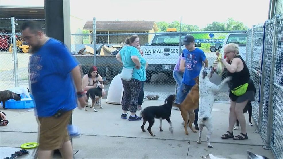 Animal rescue groups urge action as south Arkansas faces animal control ...