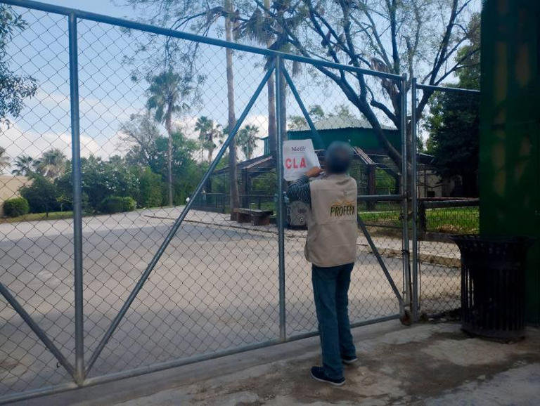 Profepa levanta clausura del Zoológico La Pastora tras caso de la osa ...