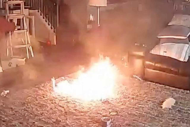 Dog Starts House Fire After Chewing on Lithium-Ion Battery