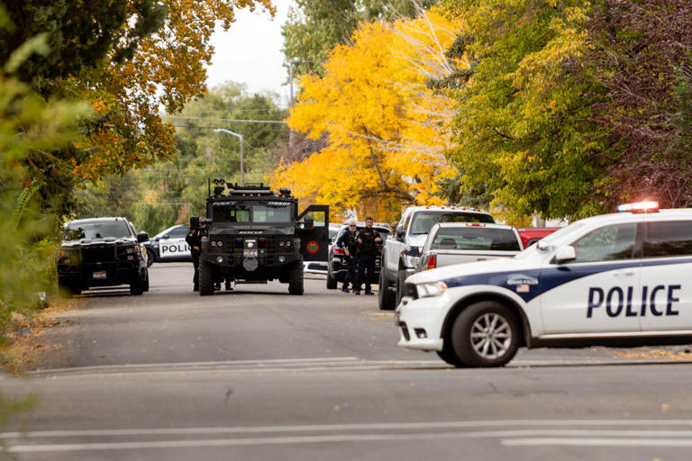 Police say woman aimed fake gun at them during welfare check, prompted ...