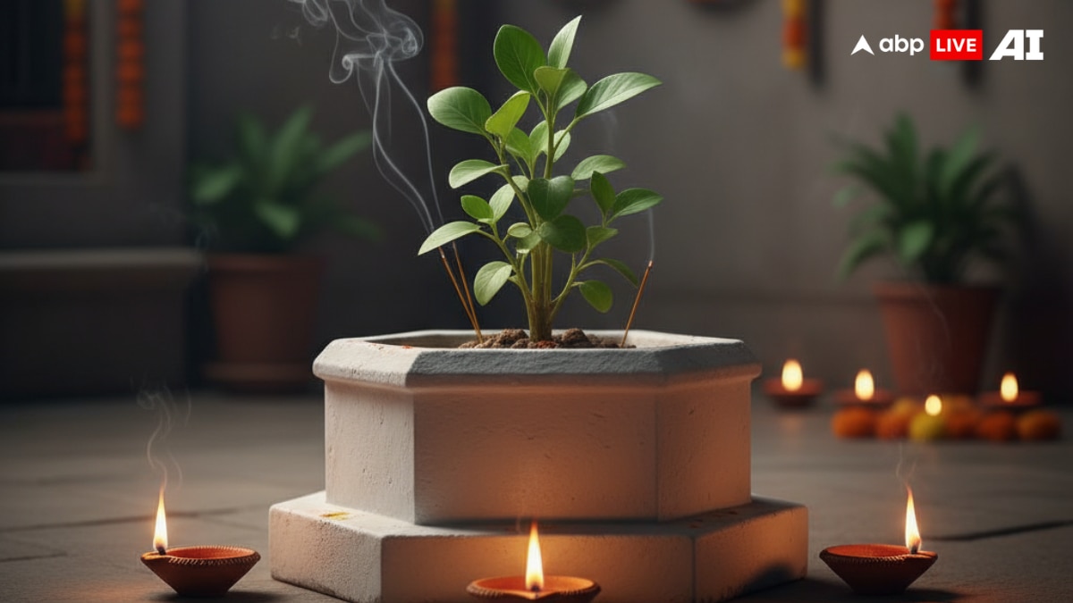 Tulsi Vivah 2025: Know Date, Significance, Puja Rituals, And All About ...