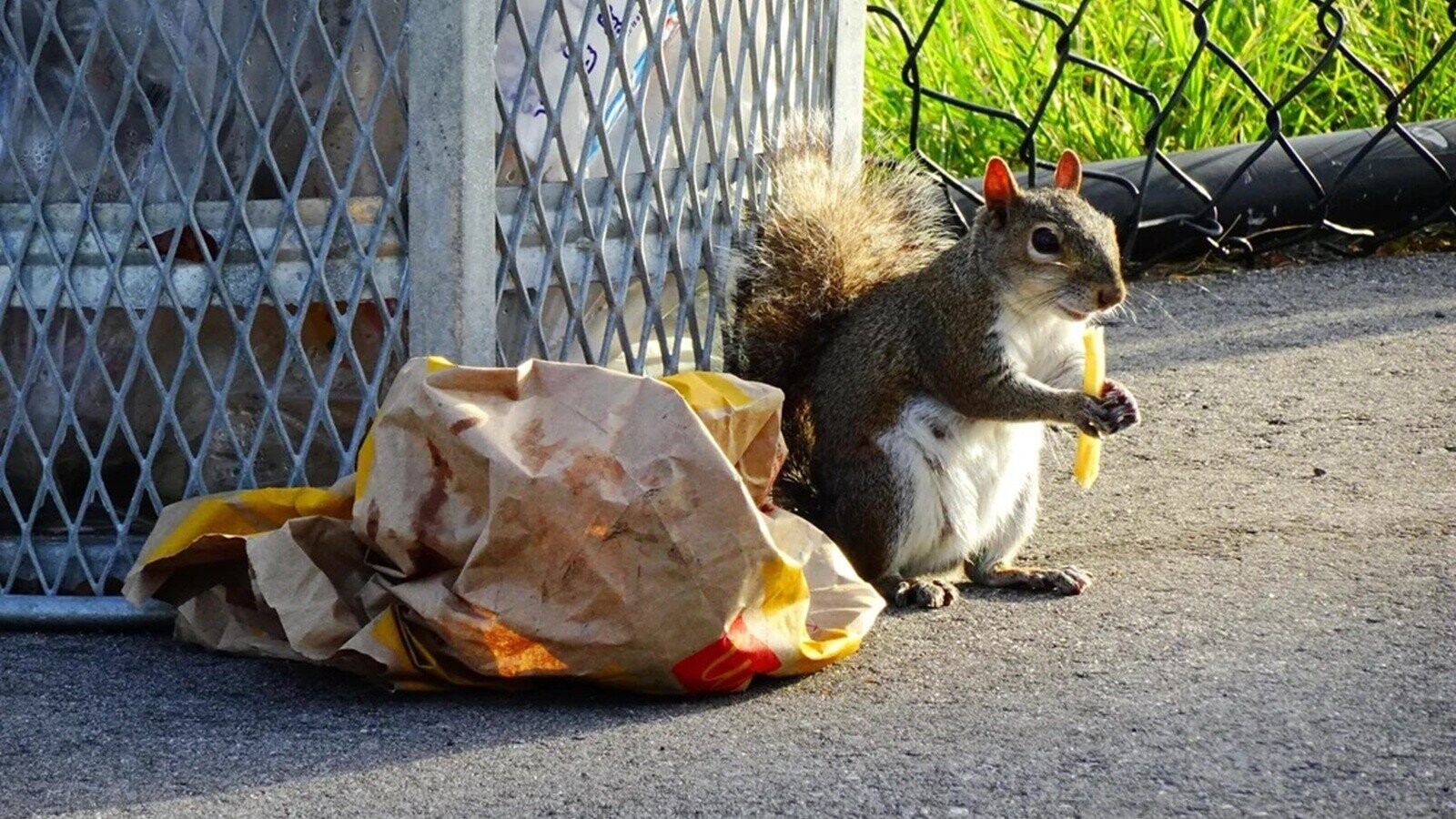 Candid Photos Peaking Into Life S Most Real Moments