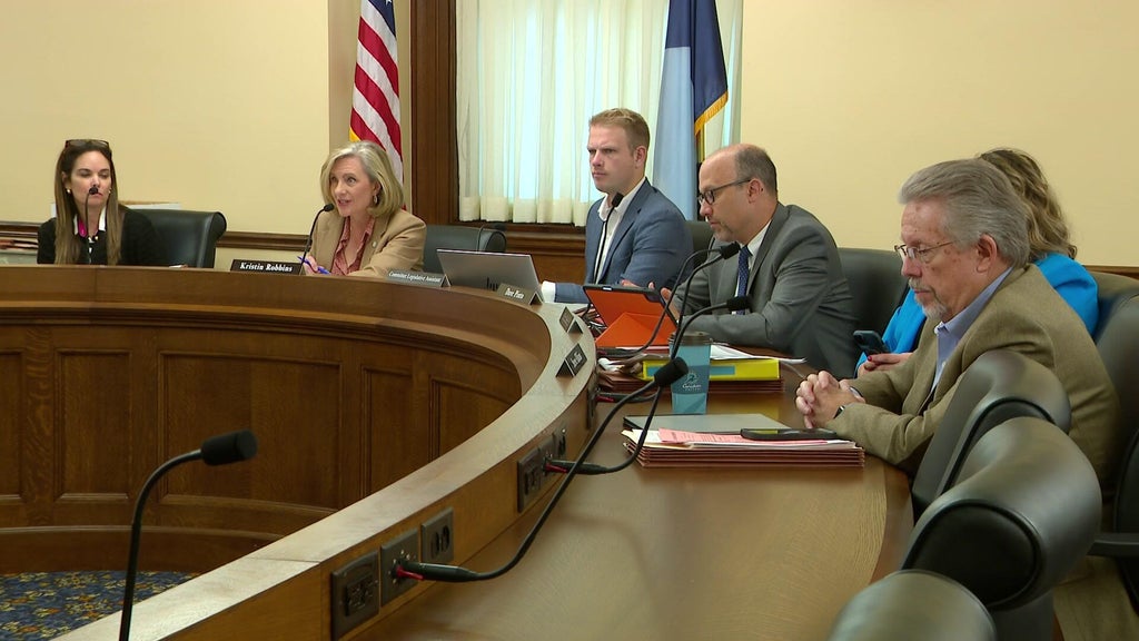 Fraud committee hearing reveals how Carver County election workers ...