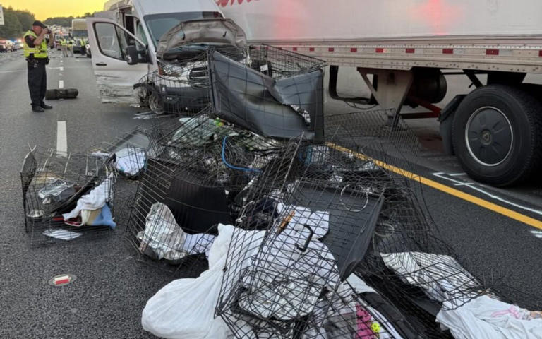 Eighth Victim Confirmed in Fiery I-85 Crash That Killed Entire Georgia ...