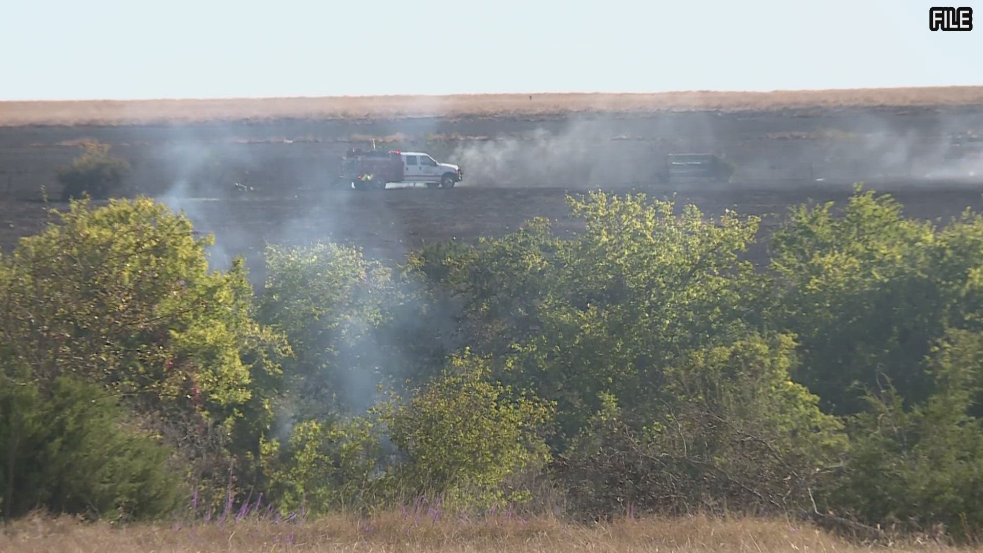 Gooseberry Fire in Bell County contained after burning 193 acres