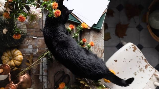 7 Halloween Superstitions and What They Really Mean