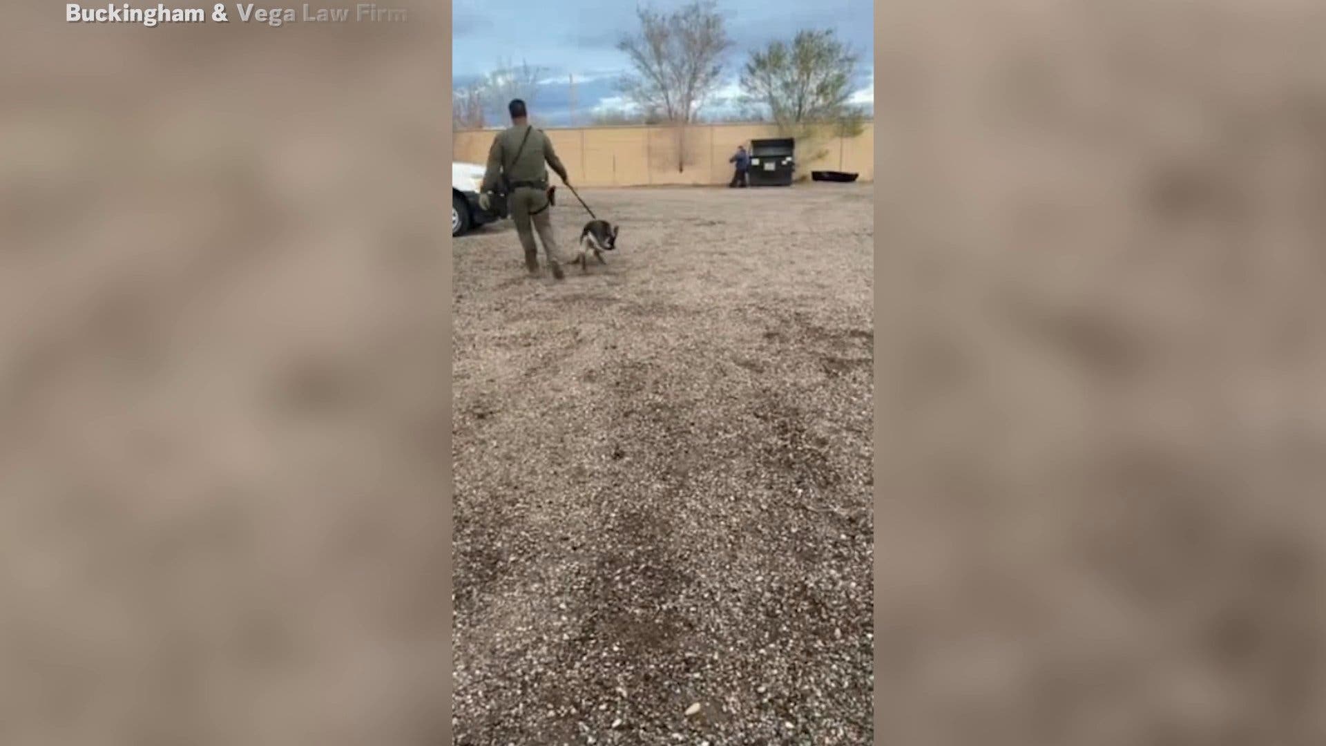 Officer Bitten by K-9 During Training Session Nears Possible Jury Trial