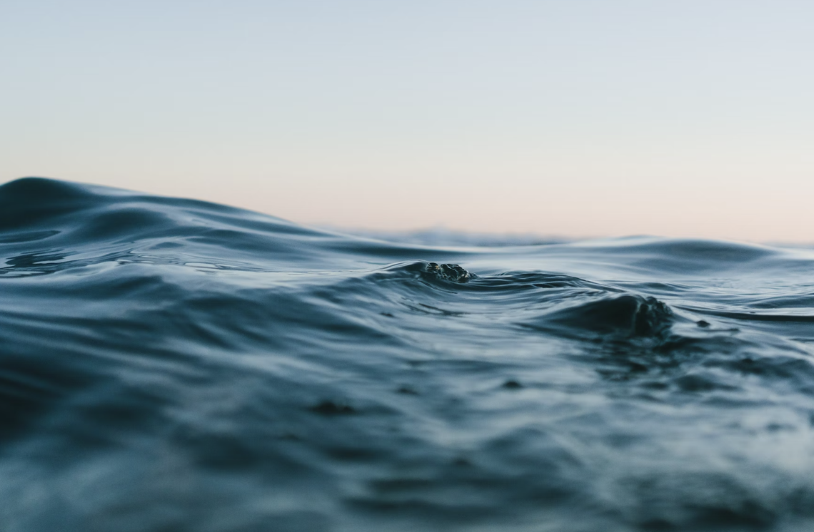 Deep-sea creature - that can ‘shape-shift' - is new species off Japan ...