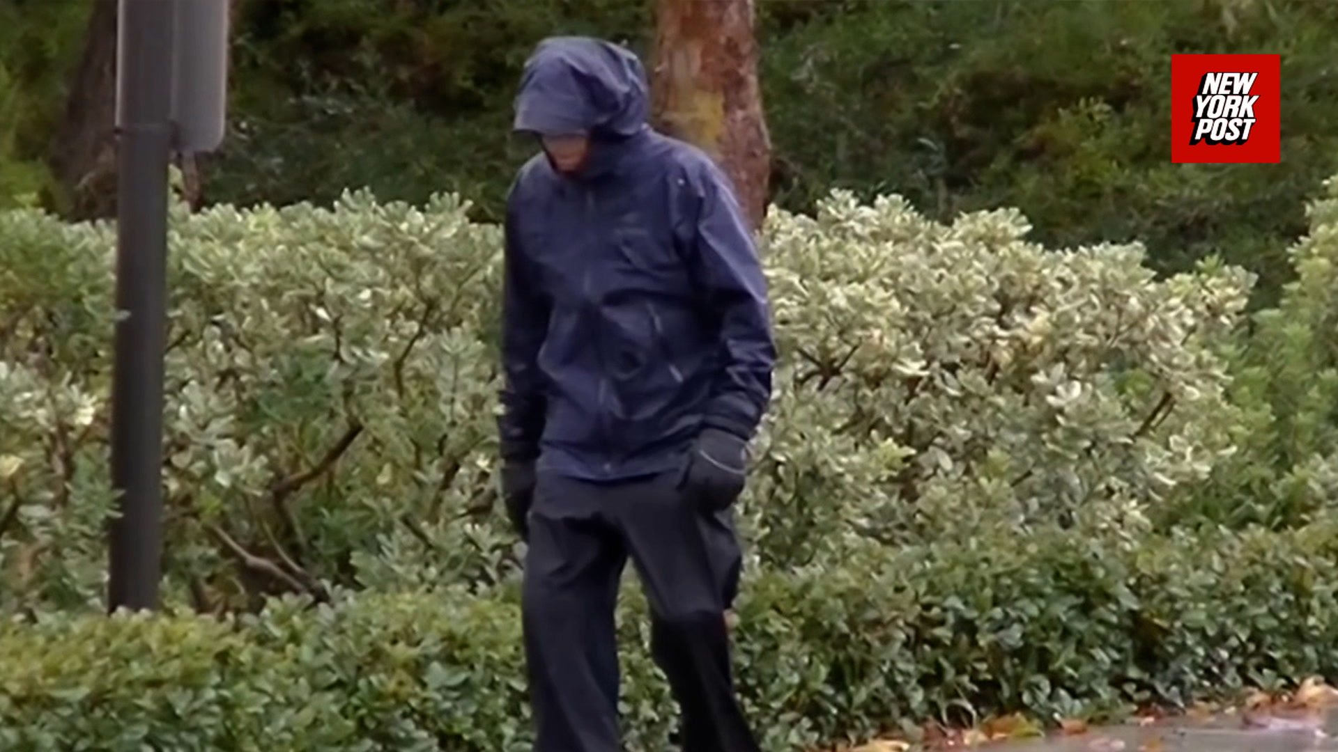 Mitt Romney's brother strolls through rain days after estranged wife ...