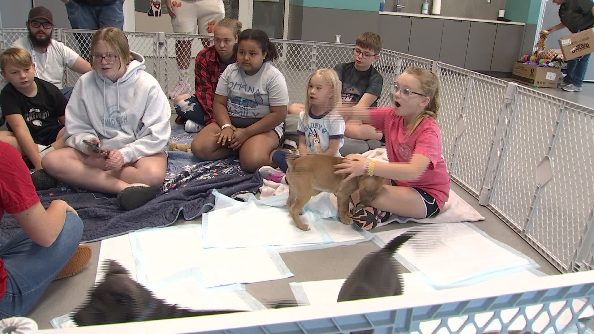 Wayside Waifs hosts event uniting furry friends with childhood cancer ...