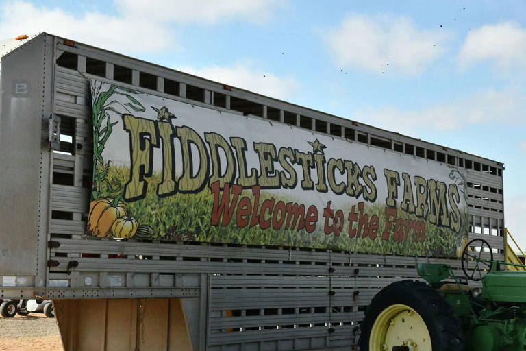 Fiddlesticks Farms marks 18th season with pumpkins, sunflowers and more