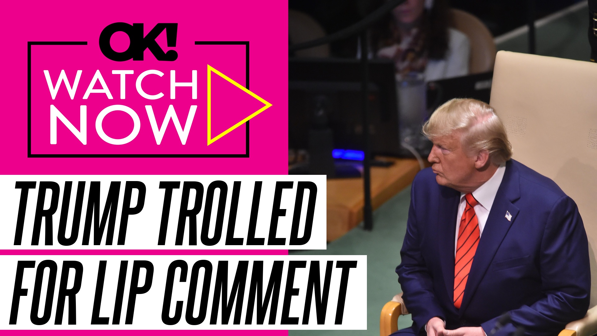 'Gross' Donald Trump Trolled for Gushing Over Karoline Leavitt's Lips ...