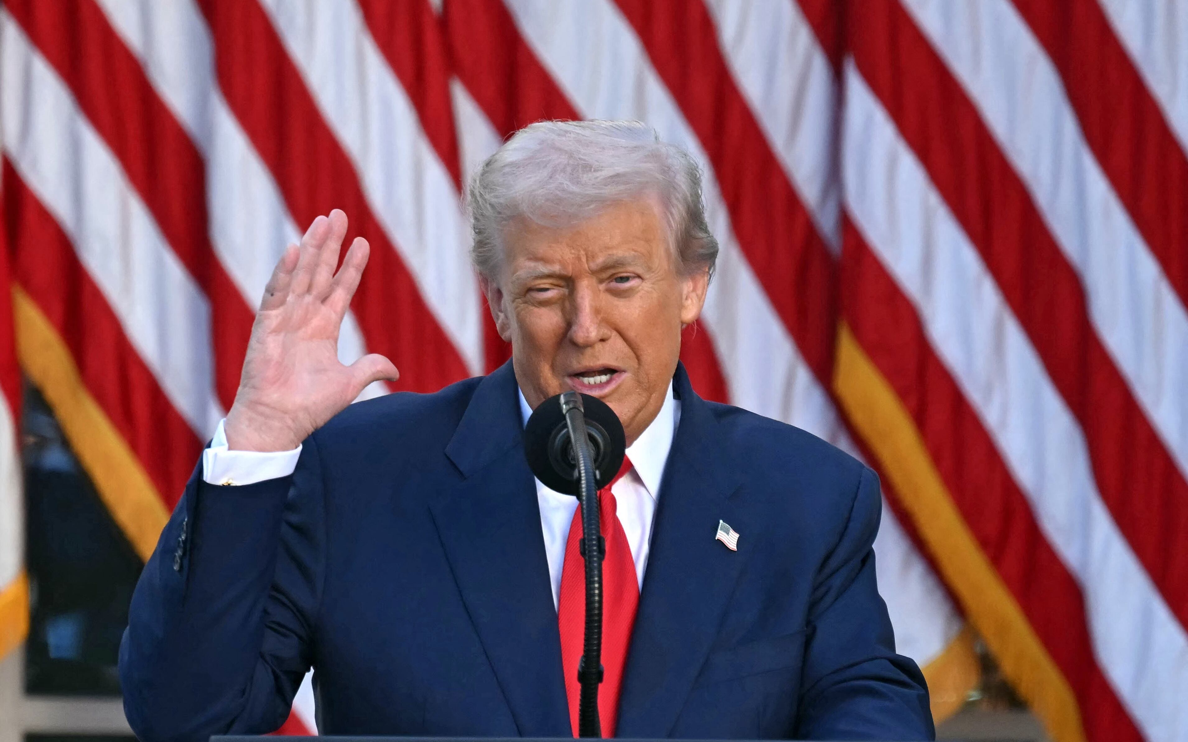 Trump Plugs Son’s ‘Record-Breaking’ Memoir Above All the World’s Problems