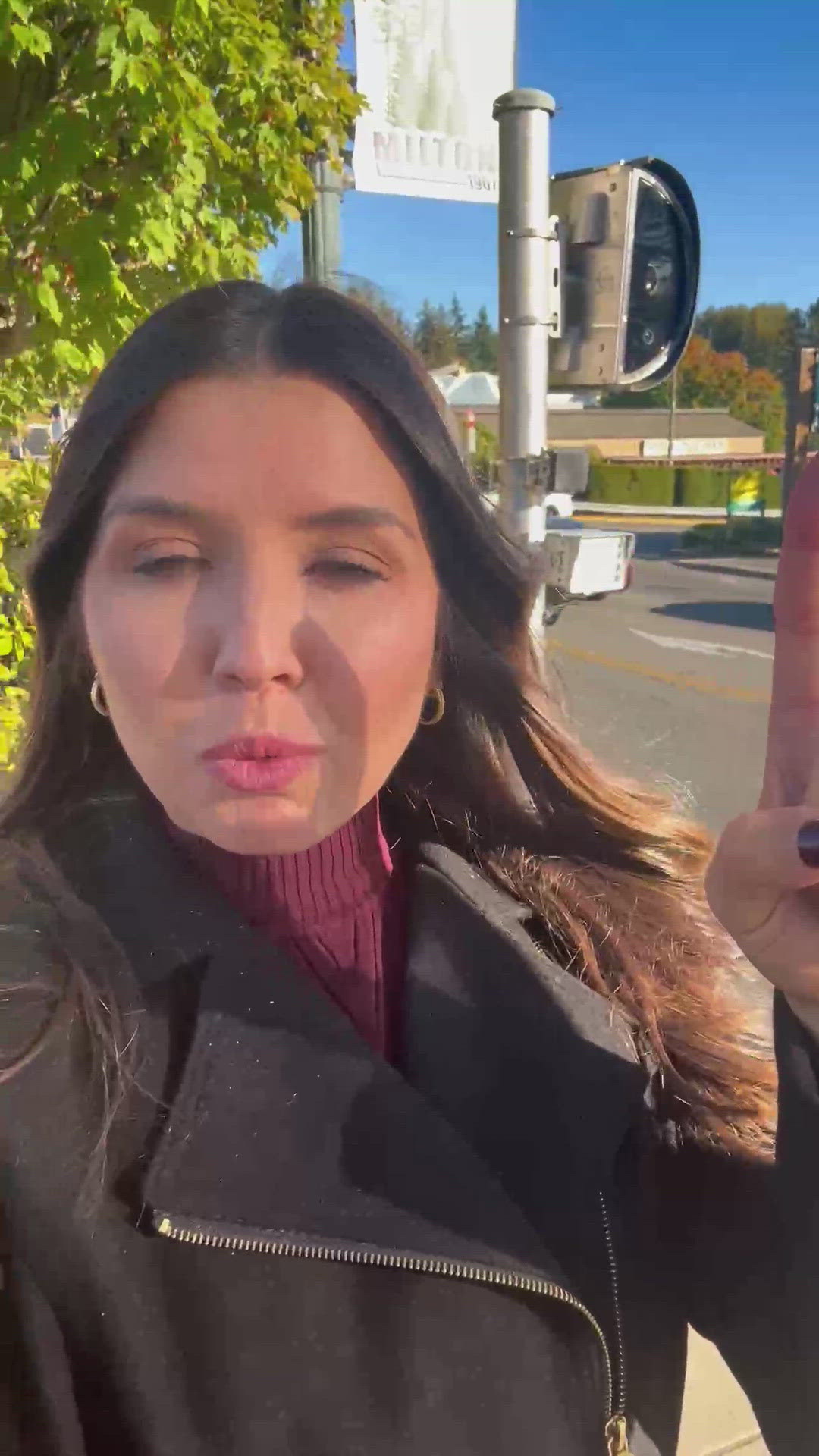 City of Milton installs traffic cameras