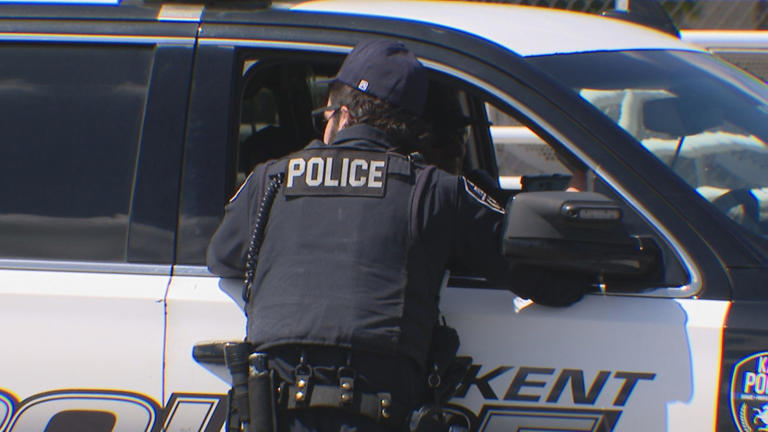 Homemade explosive device near Kent police station neutralized by bomb ...