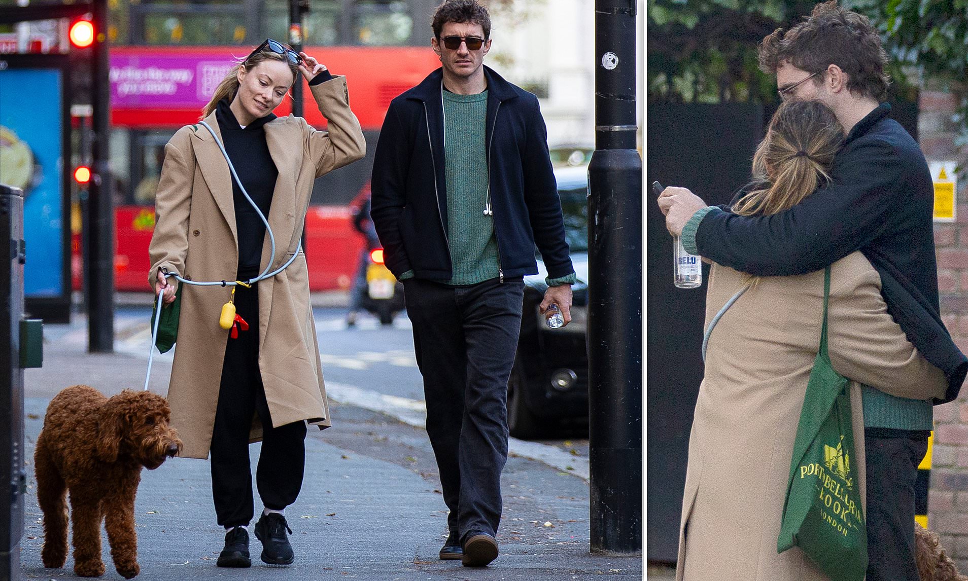 Olivia Wilde enjoys a romantic stroll with boyfriend Caspar Jopling and her new dog in Primrose Hill
