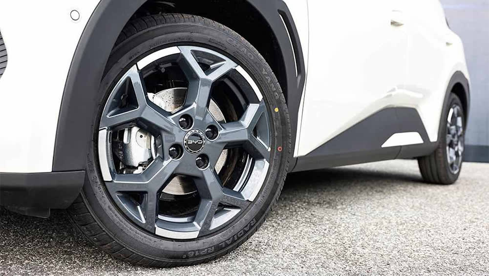 New electric car juggernaut takes hold in Oz
