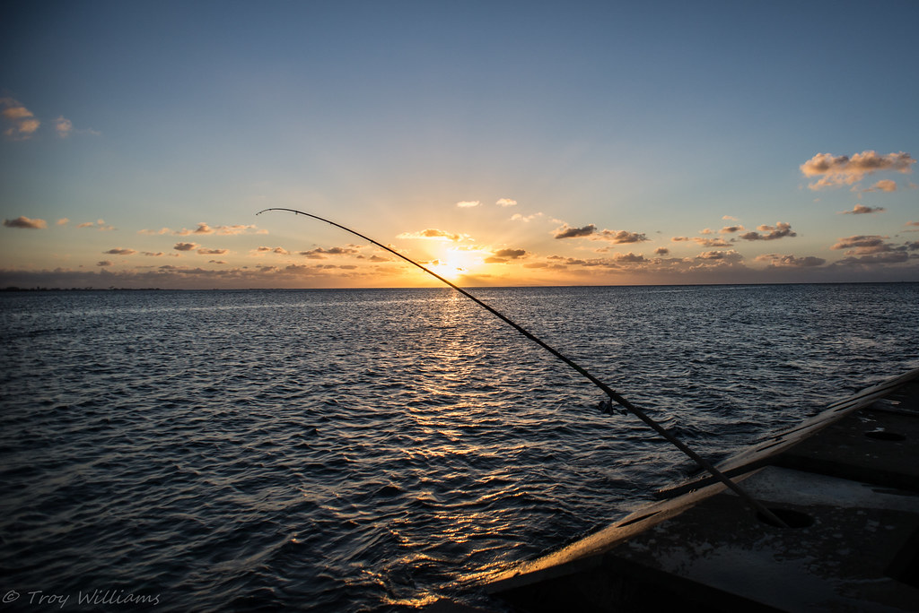 Unmasked: 9 Fishing Rod Frustrations That Drive Anglers to Seek ...
