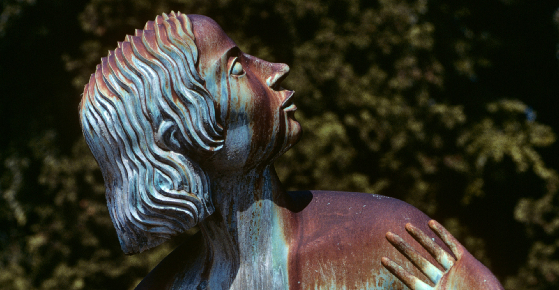 Hvad er syreregn, og kan vi forhindre den?