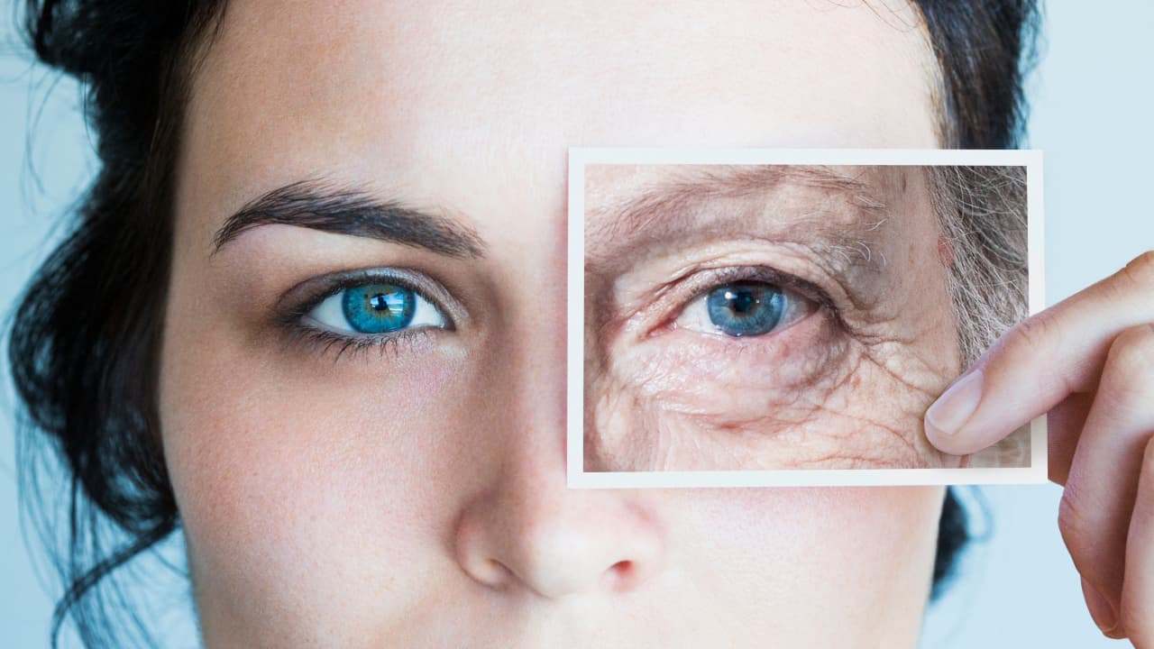 The Secret to Reversing Ageing Eyesight? A Simple Fatty Acid Might Hold ...