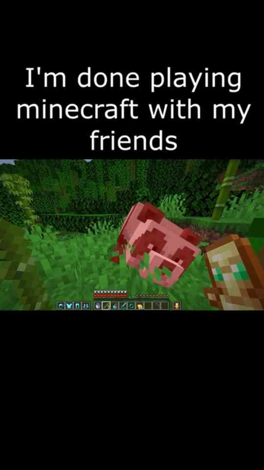 Minecraft Meme