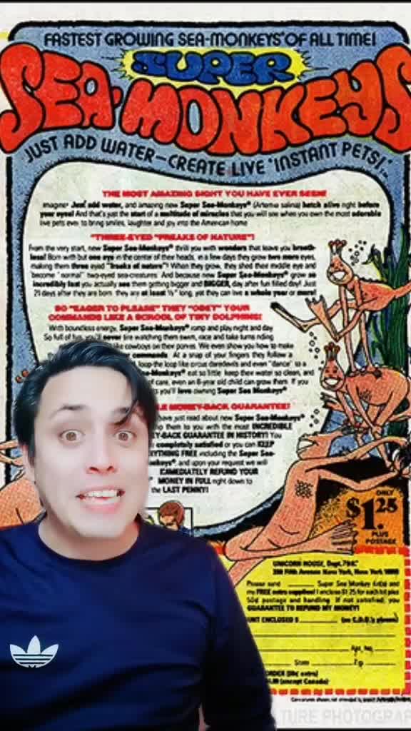 La estafa de los Sea Monkies. #historia #juguetes #estafa #nescritor